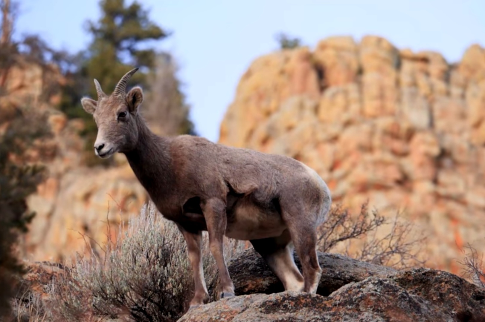 screenshot_20230504_180706_youtube – ROCKY MOUNTAIN DISPATCH LLC.