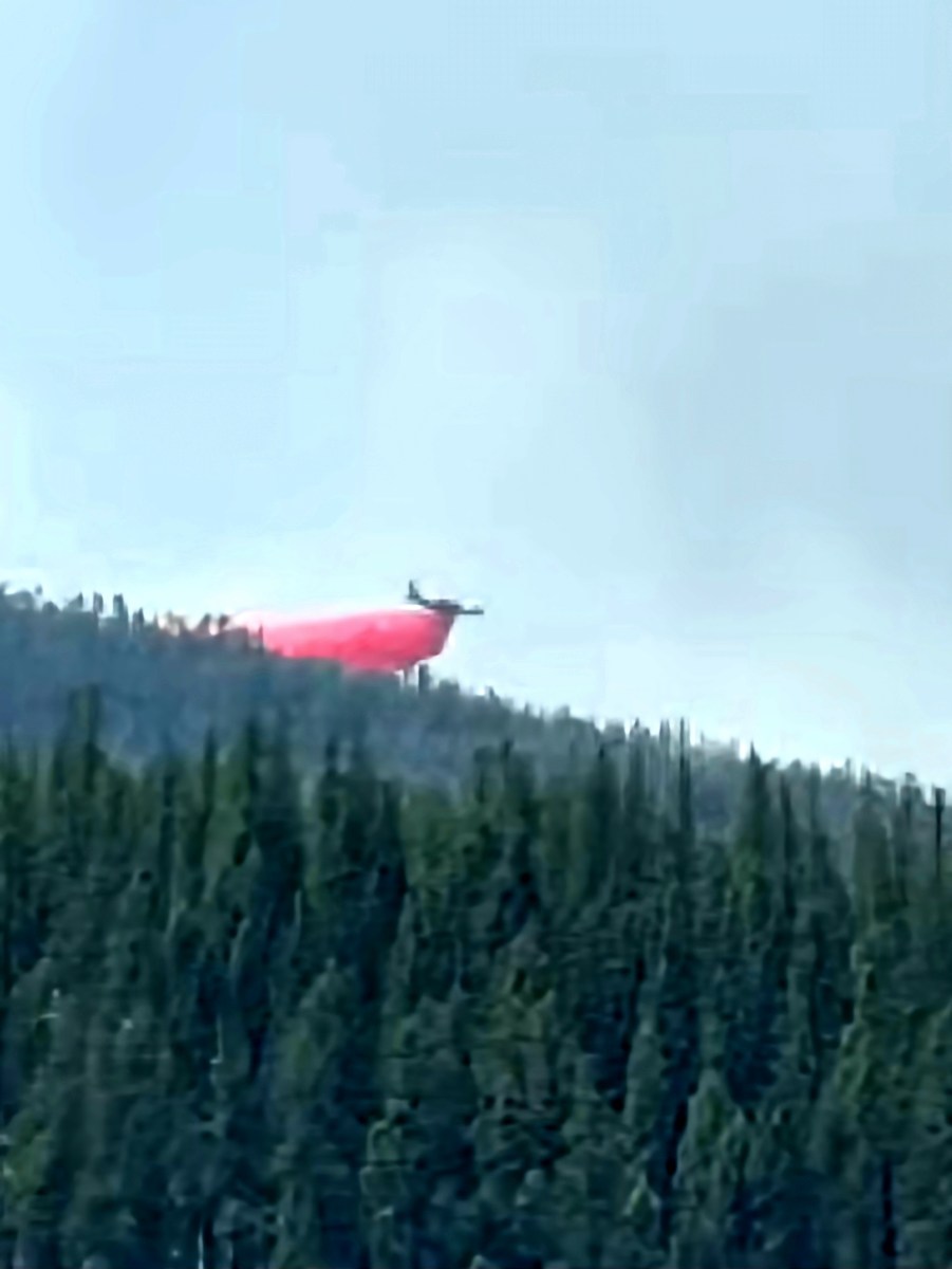 Colt Fire Grows to 200 Acres, Evacuation Order Issued – ROCKY MOUNTAIN ...